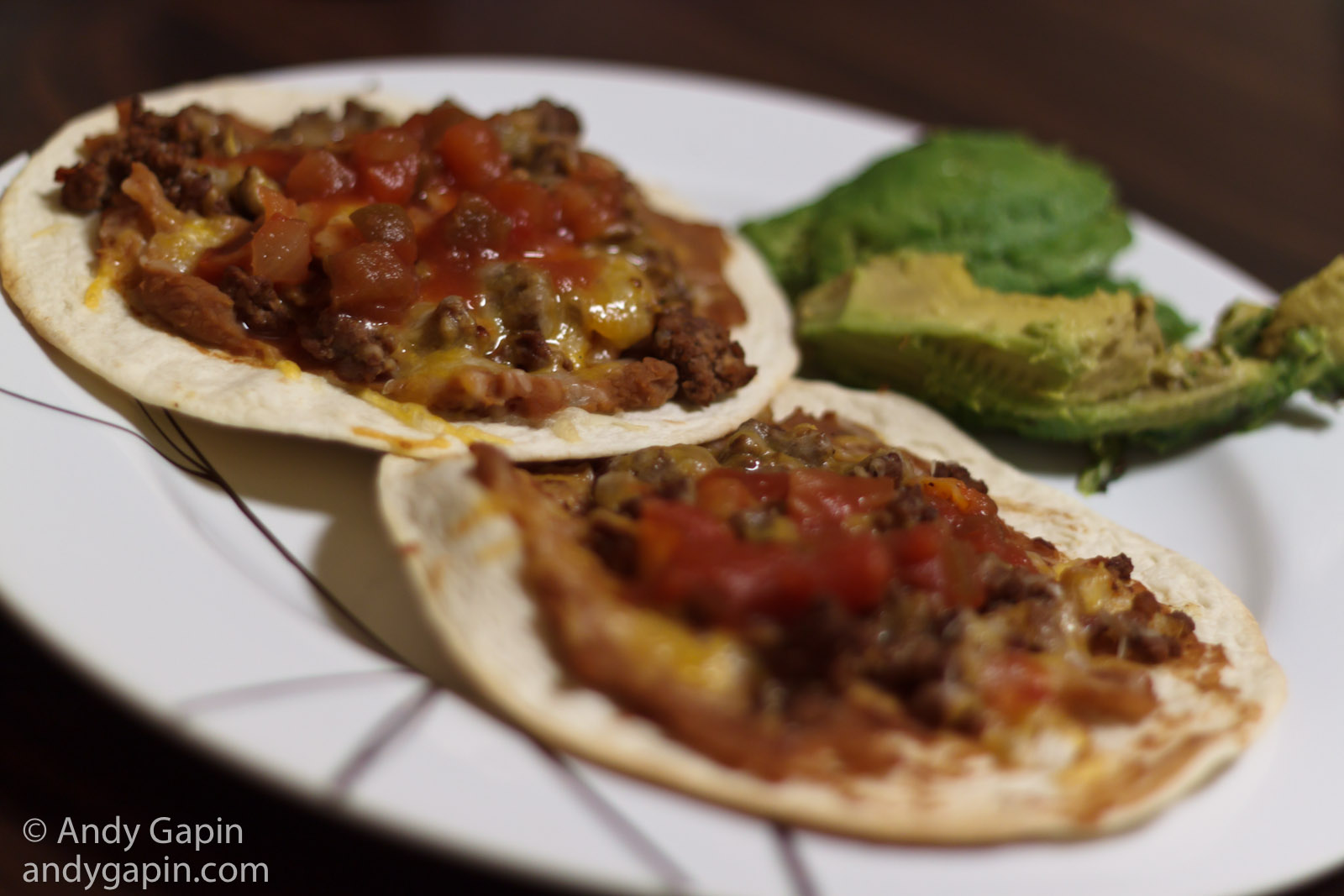 Burrito – Foodosaurus Rex