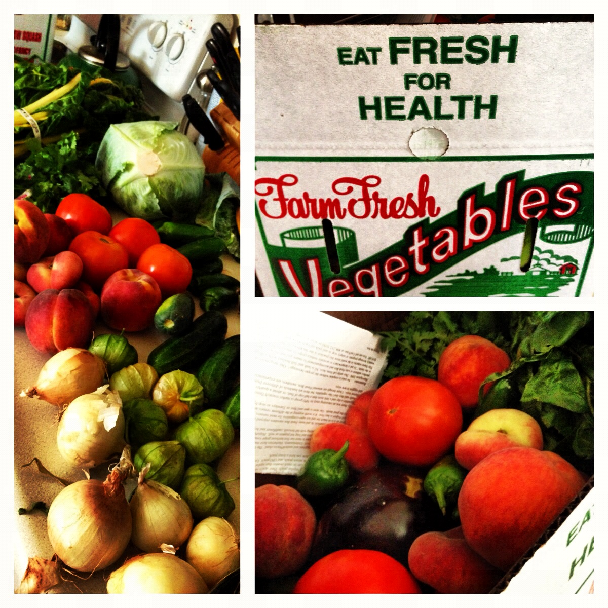 Vegetables – Foodosaurus Rex